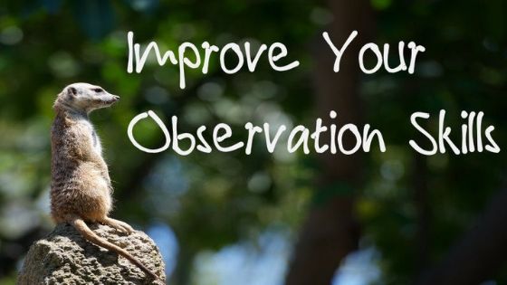Improve Your Observation Skills To Write Better - The Frangipani Creative